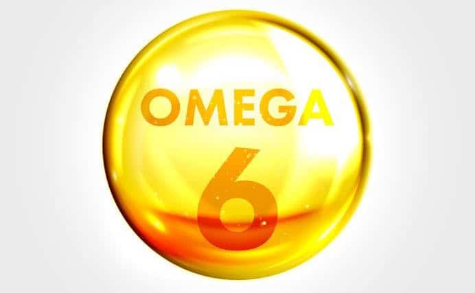 Les Oméga-6 : présentation, rôle, sources...