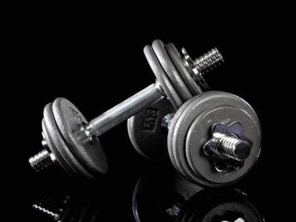 Conseils et exercices pour bien se muscler