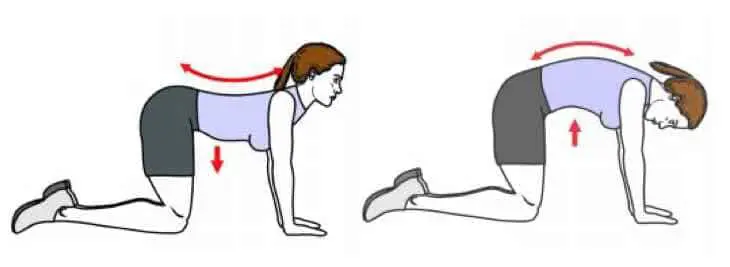 10 exercices pour améliorer sa posture et redresser son dos