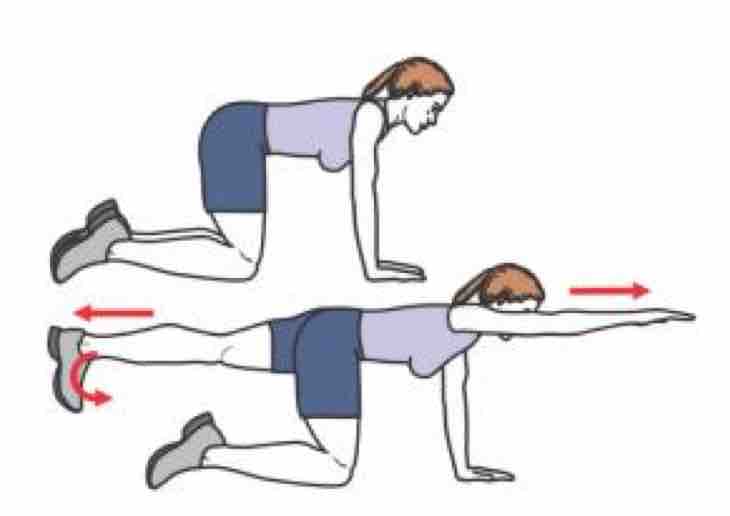 Top 5 des exercices de gainage pour femme