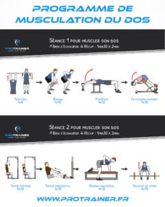 Programmes d'entraînement pour se muscler (Homme et Femme)