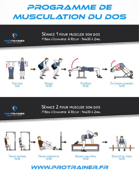 Musculation du Dos : Programme sur 6 semaines pour un dos solide