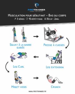 Programme de musculation pour débutant (Homme et Femme)