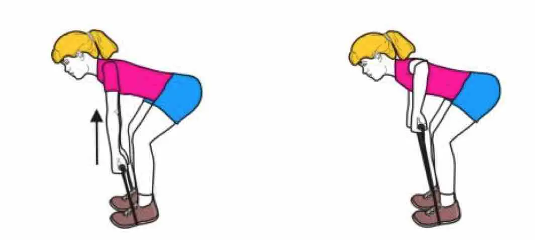 5 exercices avec elastiband pour muscler l'ensemble de son corps