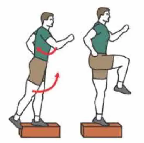 8 exercices sur step pour se muscler et s'affiner