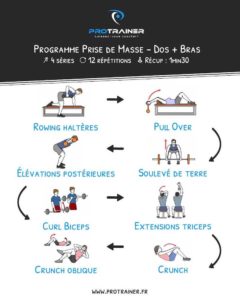 Prise de Masse : Programme et Conseils pour prendre du muscle